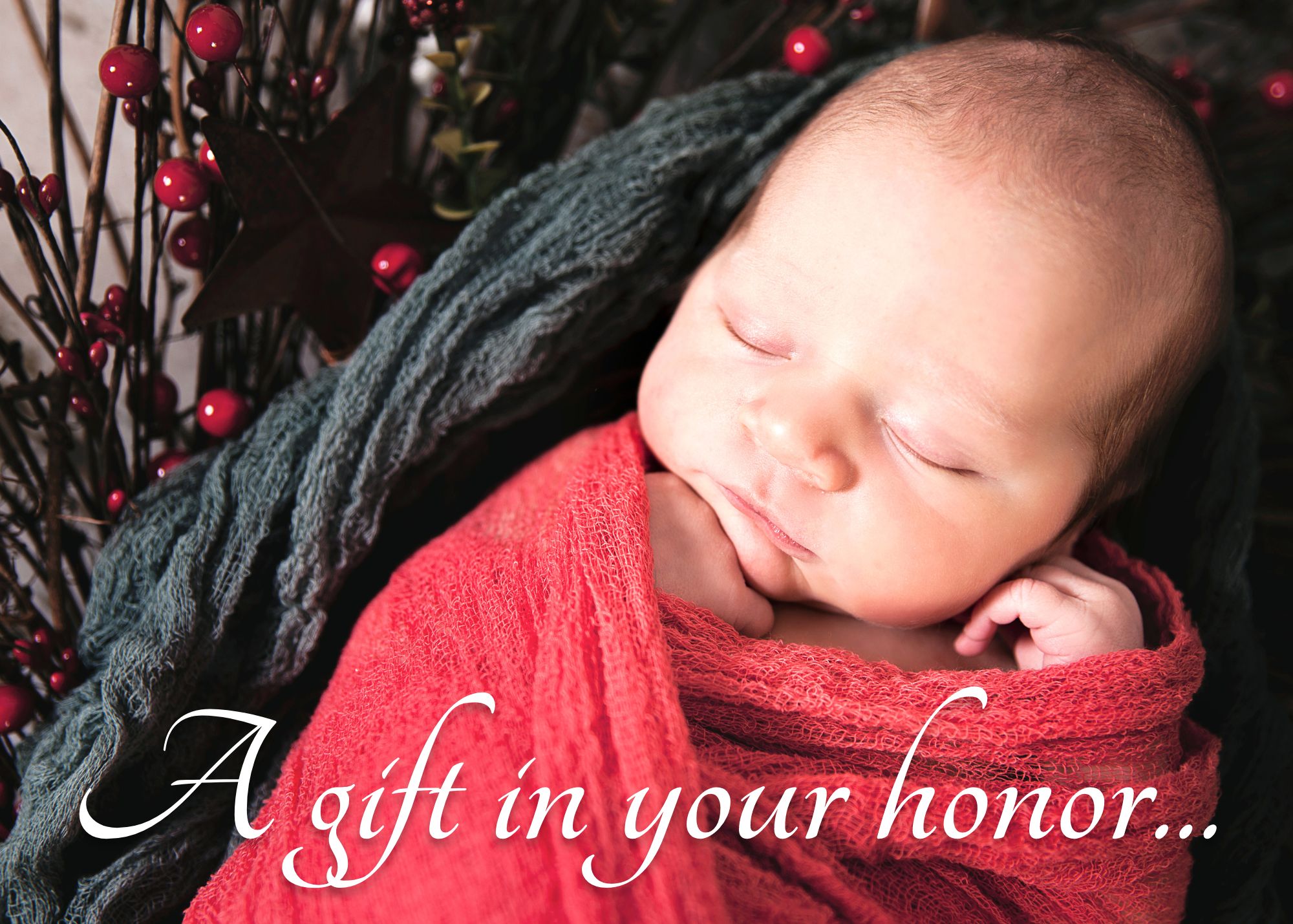 GIVE A GIFT OF LIFE - Wellspring Life Ministry - Pro-Life Non-Profit ...